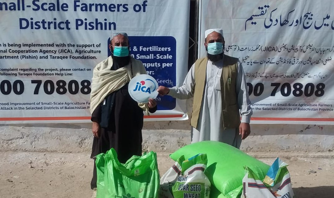 JICA partners with FAO to aid locust-plagued farmers in Pakistan｜JICA ...