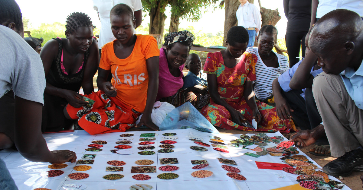 Impulsar el sustento impulsa la”felicidad familiar”｜JICA Magazine